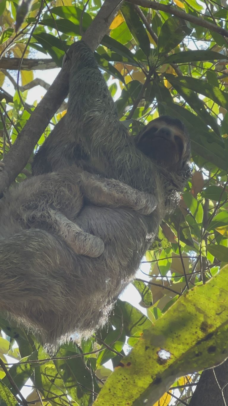 WORLD @ Stetson University – The David and Leighan Rinker Center for ...