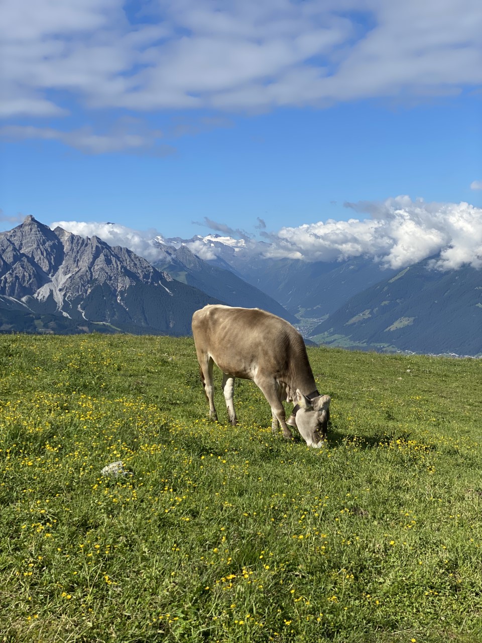 Study Abroad – WORLD @ Stetson University