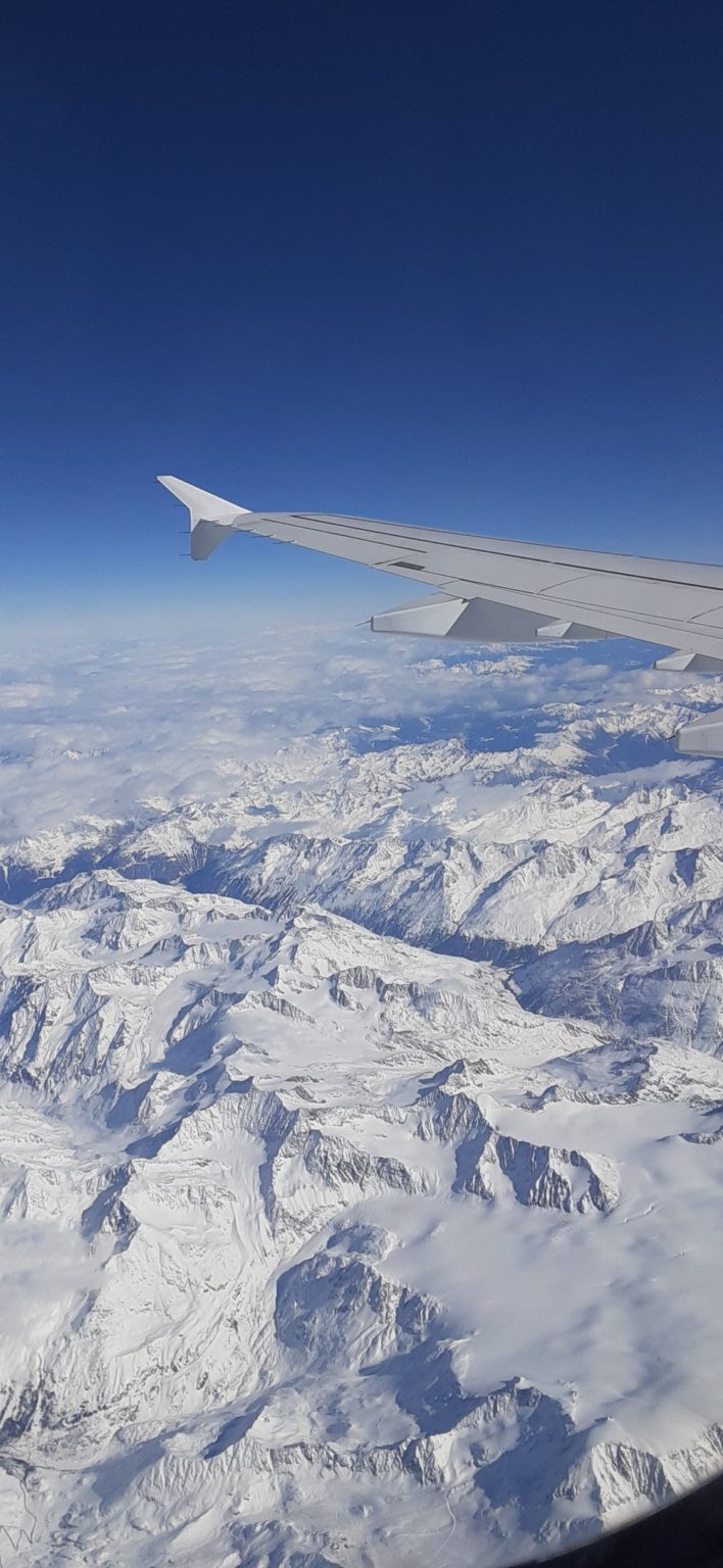 WORLD @ Stetson University – The David and Leighan Rinker Center for ...