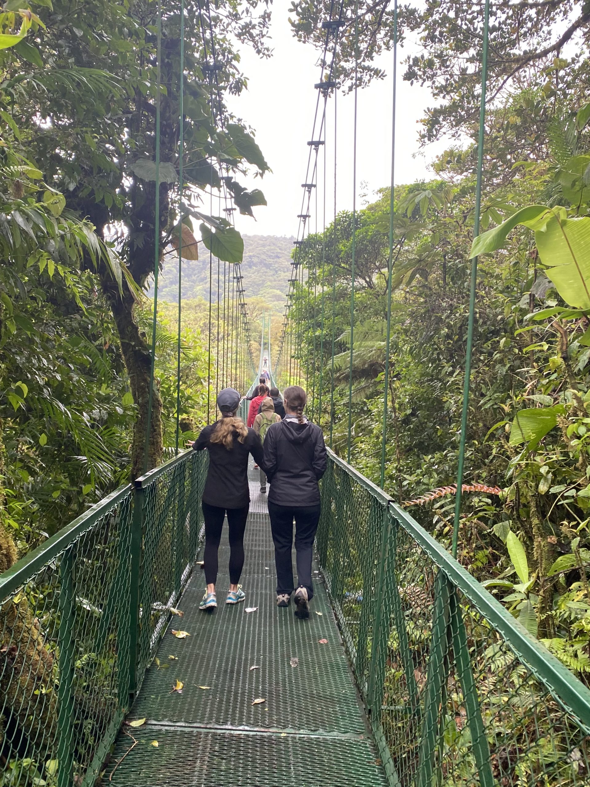 WORLD @ Stetson University – The David and Leighan Rinker Center for ...