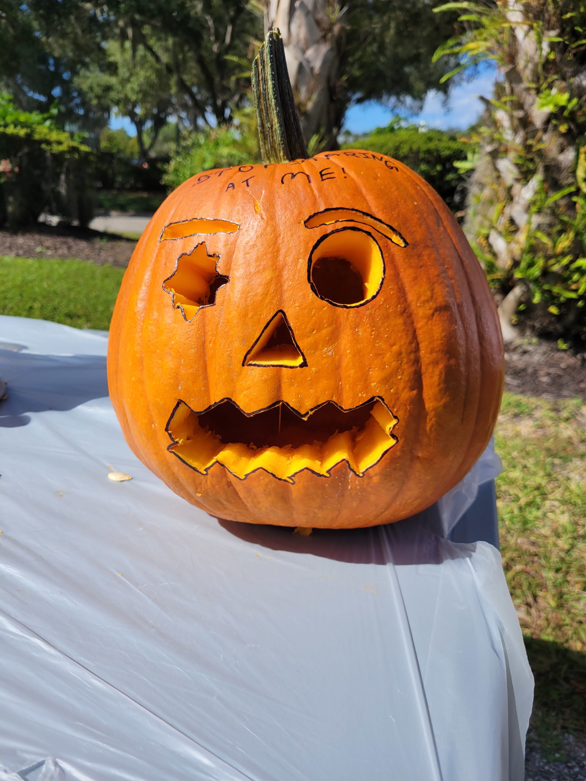 WORLD @ Stetson University – The David and Leighan Rinker Center for ...