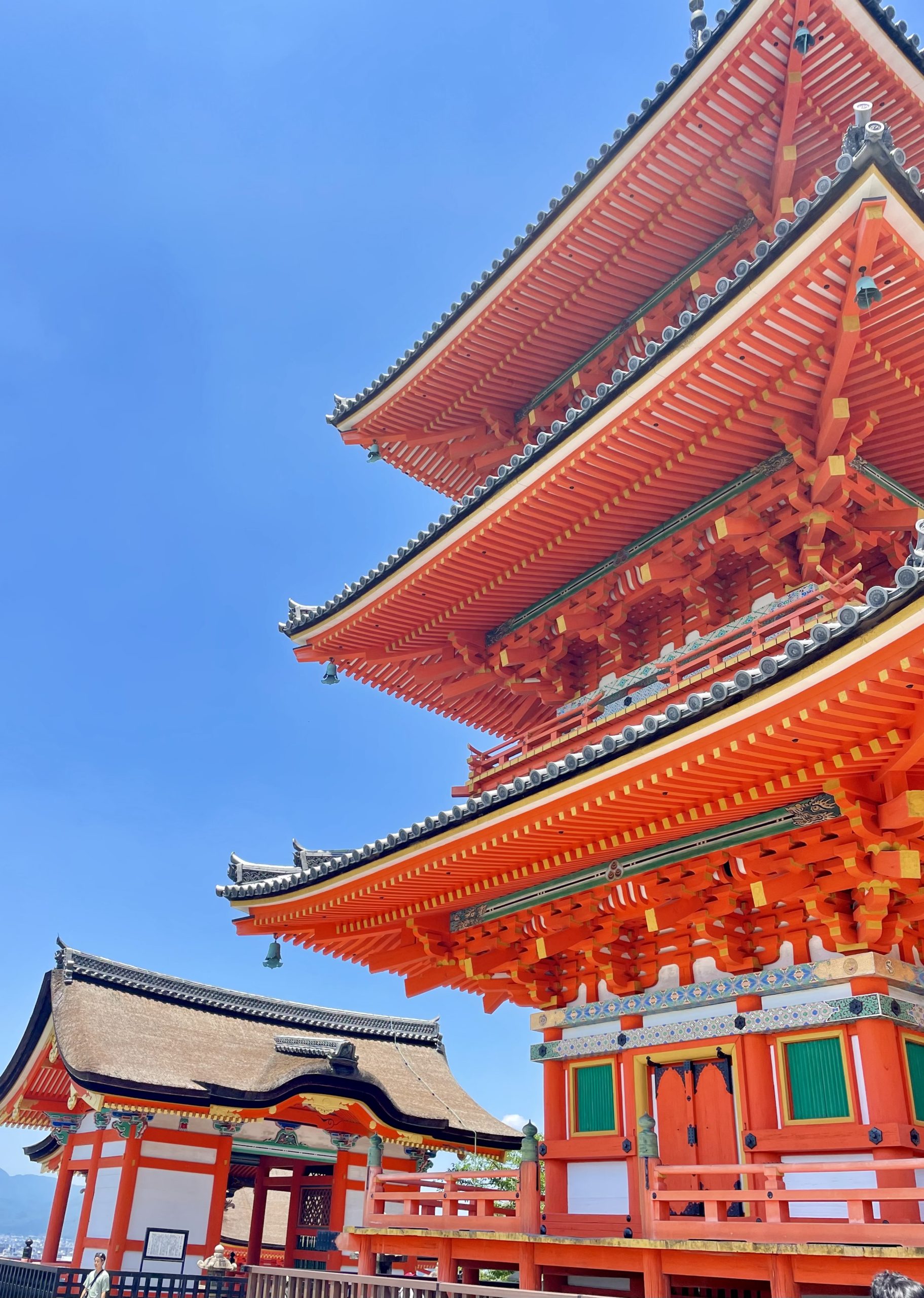 WORLD @ Stetson University – The David and Leighan Rinker Center for ...