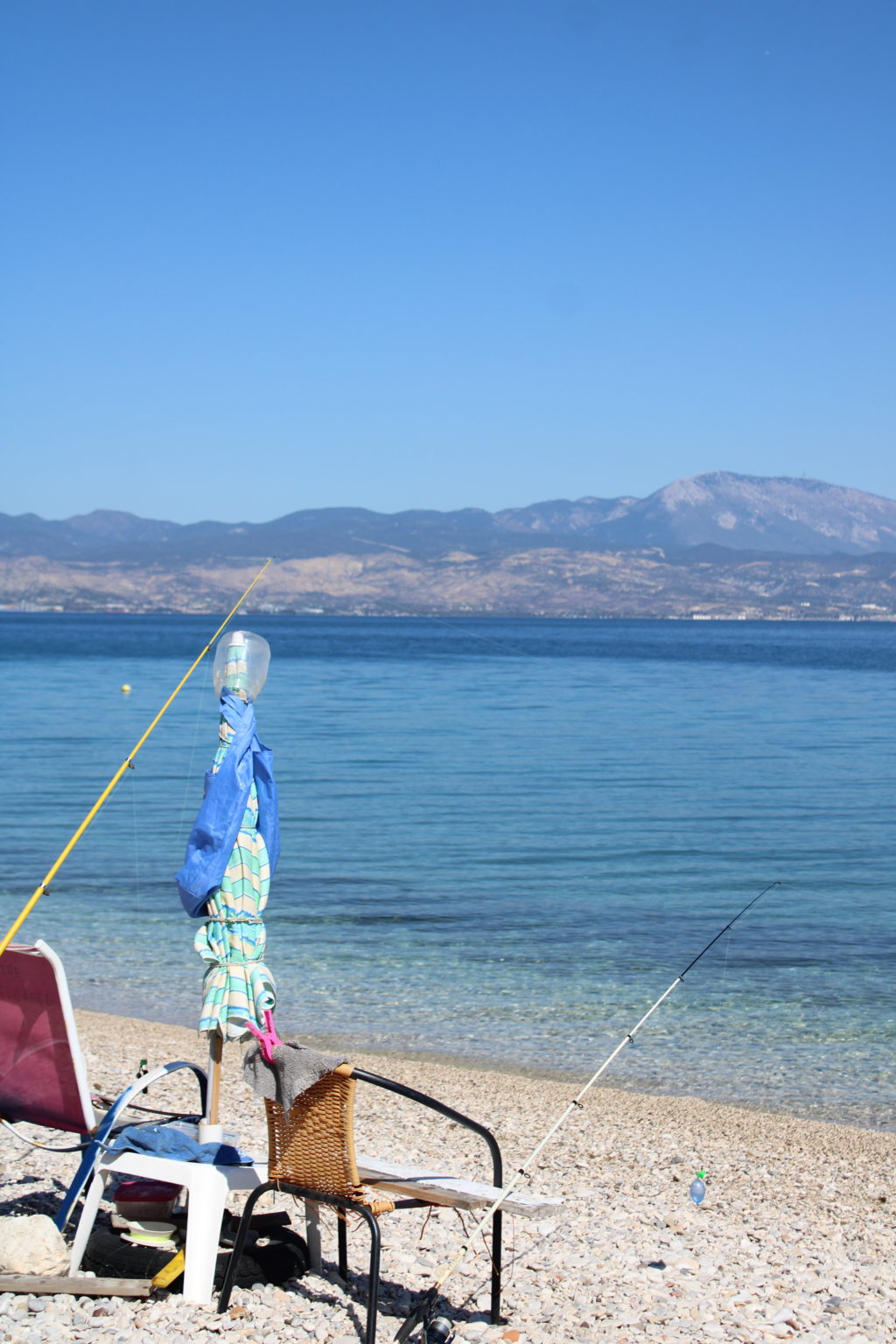 WORLD @ Stetson University – The David and Leighan Rinker Center for ...