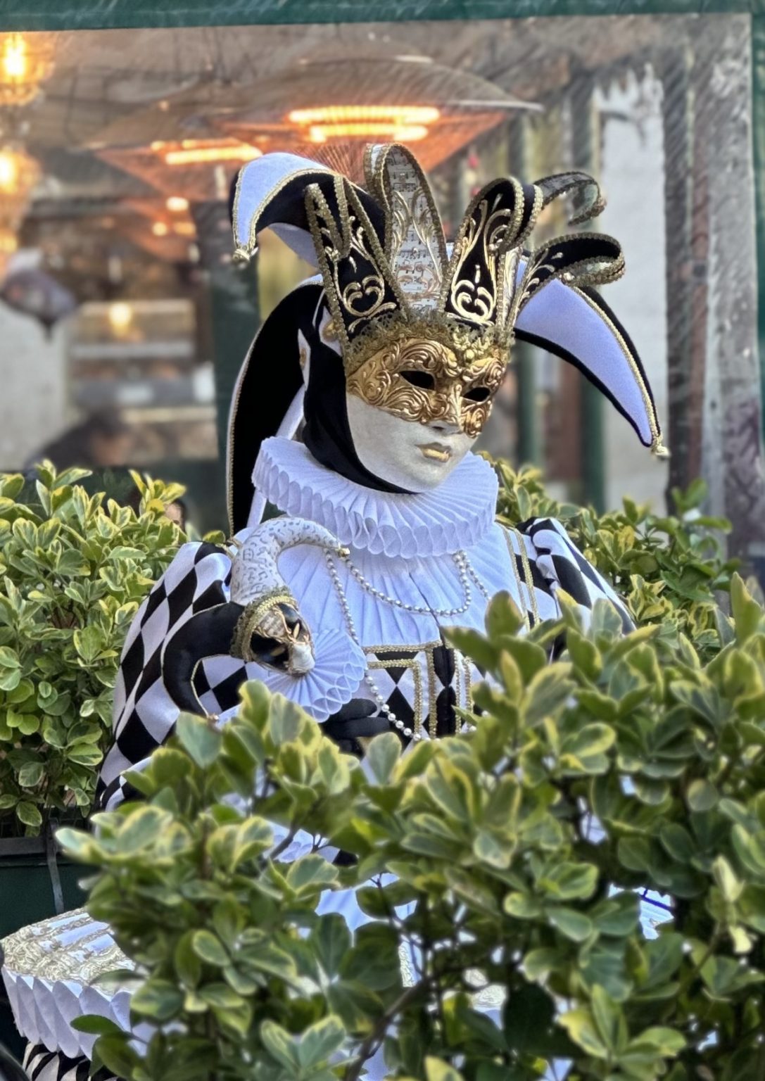 WORLD @ Stetson University – The David and Leighan Rinker Center for ...